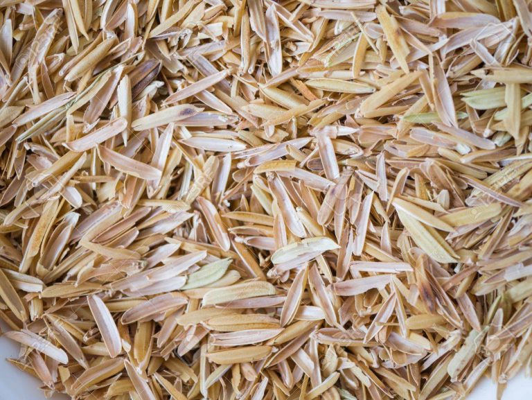 Rice Husk - Unisons Store - Pakistan